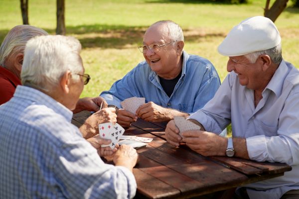 Learn About Government Programs That Offer Benefits to Seniors